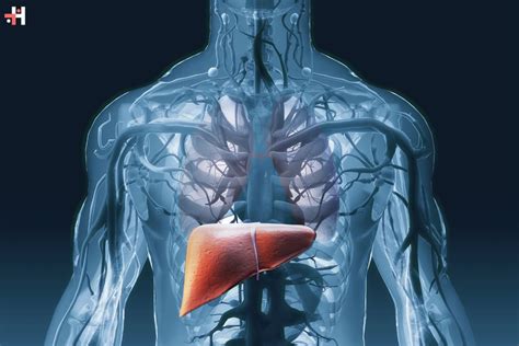 Comprehensive Guide To The Drug Hydroxyzine Healthcare 360 Magazine