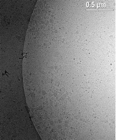 Ev Detection Instance Segmentation Dataset By Riduanxingmao