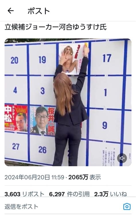 【東京都知事選】とんでもない選挙ポスター出現笑 疑うがゆえに知り、知るがゆえに疑う