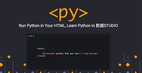 可在浏览器端运行的python 再发力51cto博客python 浏览器
