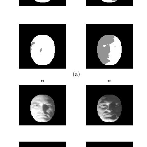 Examples Of Faces Under Different Lighting Conditions Download