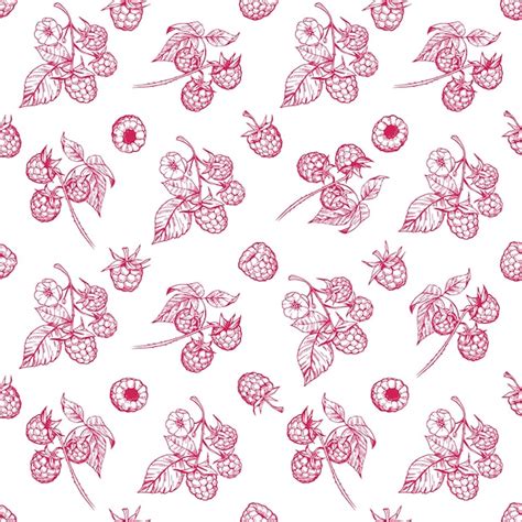 Raspberry Seamless Pattern Vectors Illustrations For Free Download Freepik
