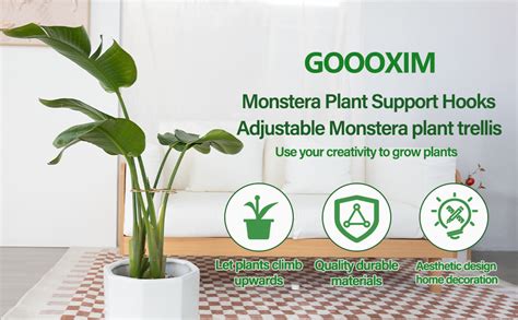 Goooxim 5pcs Plant Stem Support Durable 5pcs Iron