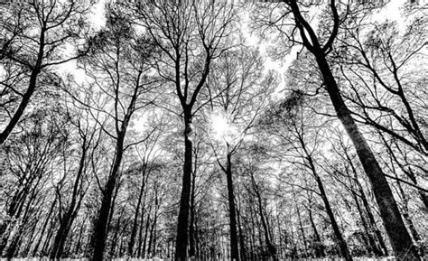 Aswang Legend The Story Of Teniente Gimo Philippine Tales Anthology Of Philippine