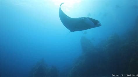 Peder B Helland Drøm Official Video Youtube