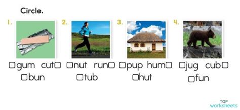 Unit 8 Part 4 Interactive Worksheet Topworksheets