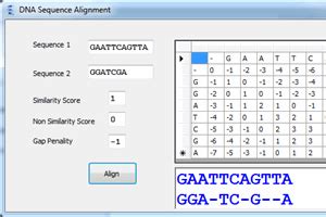 Dna Sequence Alignment Using Dynamic Programming Algorithm Codeproject