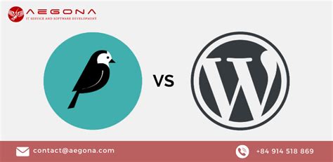 Wagtail Cms Top Solution For Website Content Management Platform Aegona