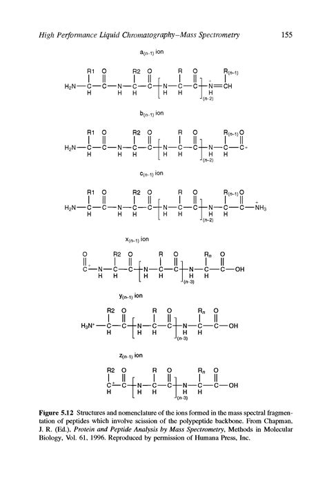 Structure Polypeptide Backbone Big Chemical Encyclopedia