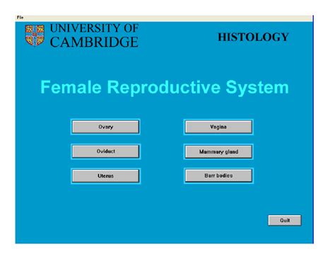 NSTfemale Practical Studocu