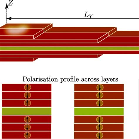 Example 3 Design Of The Multilayered Bending Piezoelectric Actuator Download Scientific