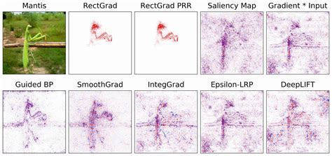 Why Are Saliency Maps Noisy Cause Of And Solution To Noisy Saliency