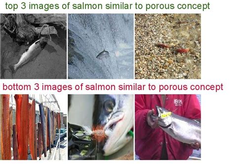 Tcav Relative Concept Importance Testing With Linear Concept