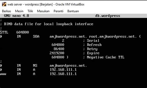 Konfigurasi Dns Server Ubuntu 20 04 Awonapa Website Dan Blogging