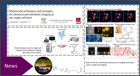 Multimodal Techniques And Strategies For Chemical And Metabolic Imaging At The Single Cell Level