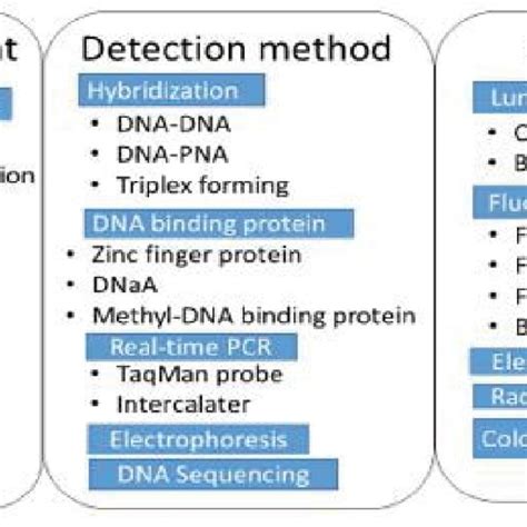 Classification For The Strategy For Detecting Dna Download Classification For The Strategy For Detecting Dna Download