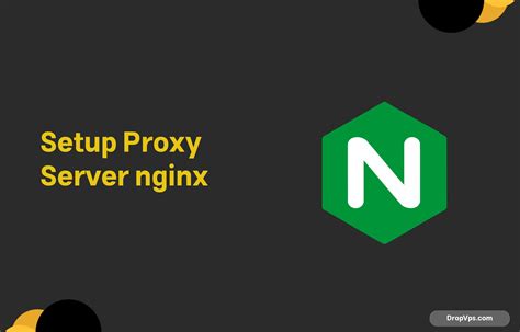 how to set up a proxy server with nginx