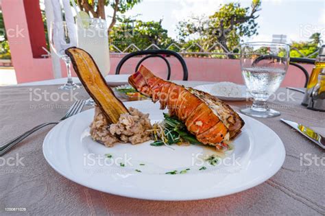 구운 랍스터는 으깬 감자 튀긴 바나나 야채 쌀 칵테일 한 잔과 함께 접시에 아름답게 놓여 있습니다 야외 레스토랑에서 비싼 저녁 식사 쿠바에 대한 스톡 사진 및 기타 이미지