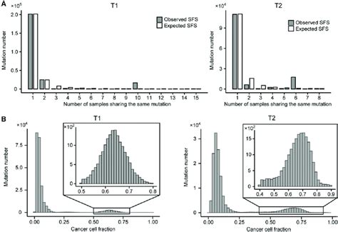 Distributions Of Snv Frequencies In Tumors A Comparison Of The