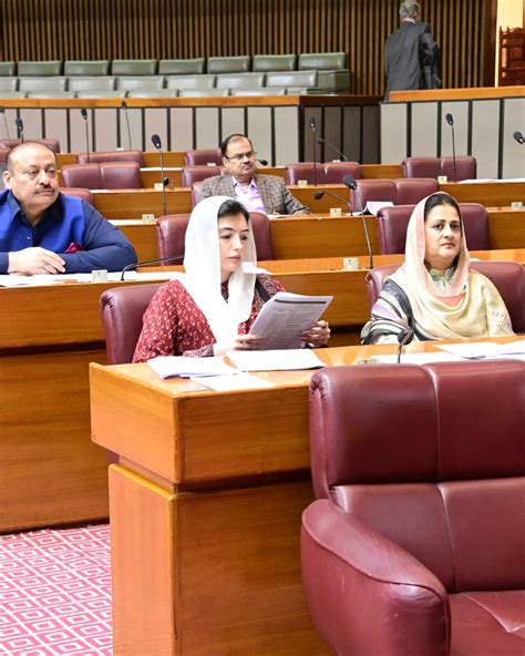 Muhammad Khizer Pasha Shaikh