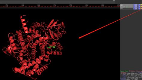 突变检查 Python Pymol怎么做突变mob64ca1419e0cc的技术博客51cto博客 突变检查 Python Pymol怎么做突变mob64ca1419e0cc的技术博客51cto博客