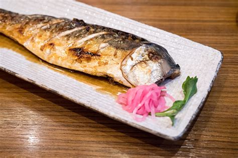 장식 핑크 발효 생강과 데리 야 끼 소스와 구운 사바 스테이크 올랐다 0명에 대한 스톡 사진 및 기타 이미지 0명 갈색 개념 Istock