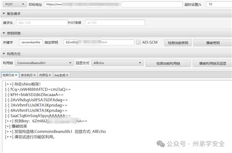 漏洞挖掘 从实战中学习漏洞挖掘与渗透测试流程（非常详细）零基础入门到精通，收藏这一篇就够了 漏洞挖掘过程 csdn博客