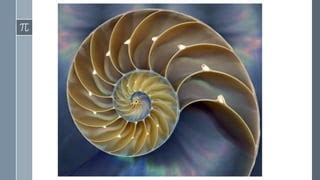 Fibonacci Numbers Pptx