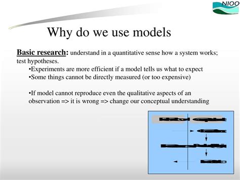 Ppt Ecological Modelling Powerpoint Presentation Free Download Id5186815