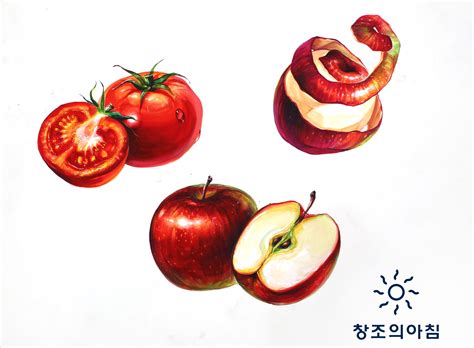 기초디자인 건국대 기디 입시미술 개체 묘사 사과 토마토 껍질 일러스트 디자인 Nature Drawing Food Drawing