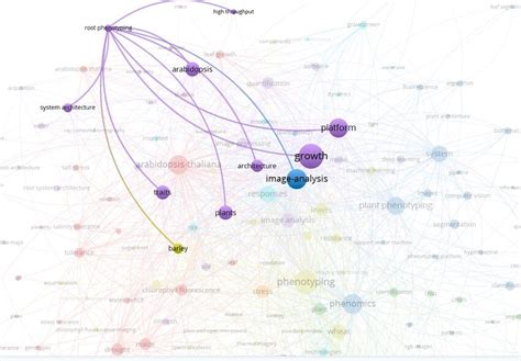 Network Visualization Graph Of Plant Phenotyping Literature 2010 2019 Download Scientific Diagram
