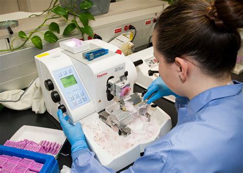 Pathology Lab Finds Answers Eglin Air Force Base Article Display