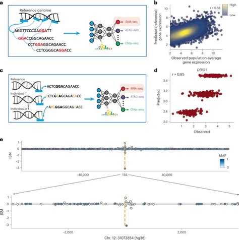 Benchmarking Of Deep Neural Networks For Predicting Personal Gene