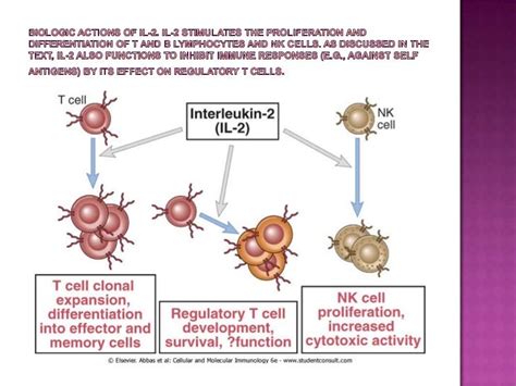 Interleukins And Interferon Gamma