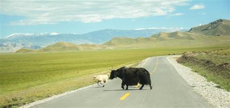 斜线大师 神奇的spdiags函数 知乎