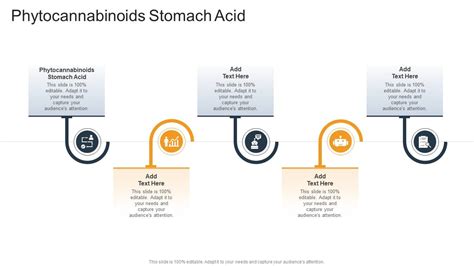 Phytocannabinoids Stomach Acid In Ppt Powerpoint Presentation Slide Templates Cpp PPT Presentation