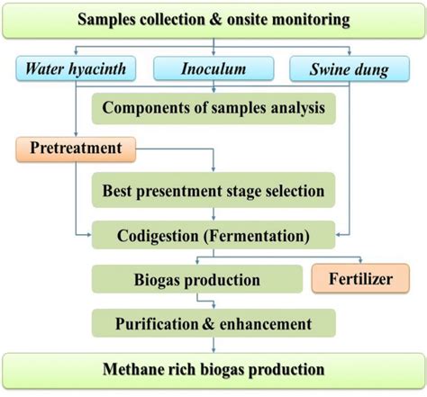 Conceptual Framework And Methodology Download Scientific Diagram