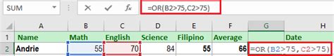 Or Function In Excel With Example Formula