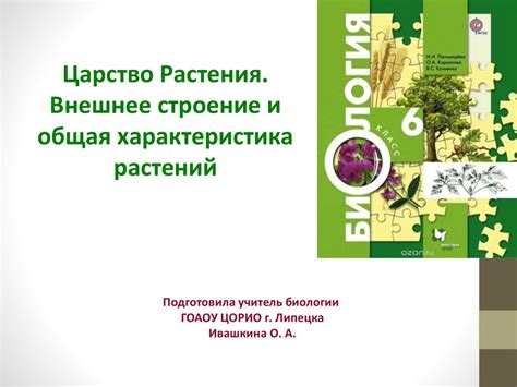 Царство Растения Внешнее строение и общая характеристика растений 6 класс презентация онлайн
