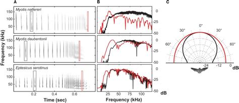 Intensity And Directionality Of Bat Echolocation Signals Pmc