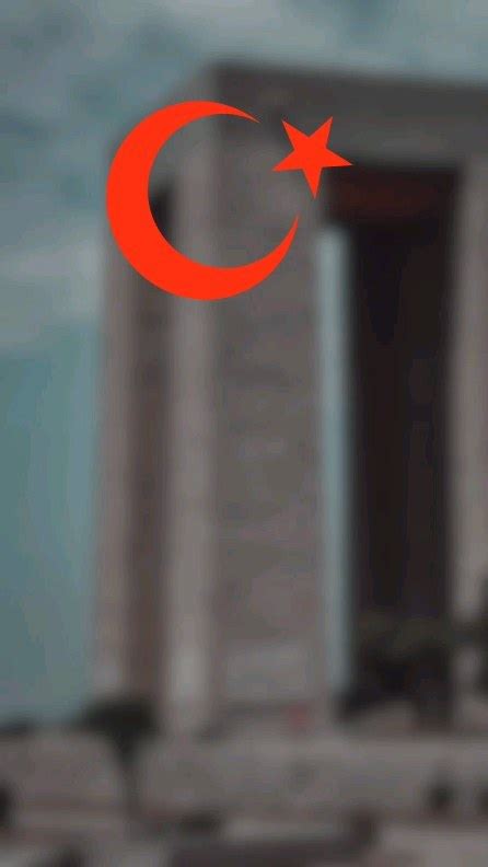 Wooeys🌟 Wooeys • Instagram Photos And Videos