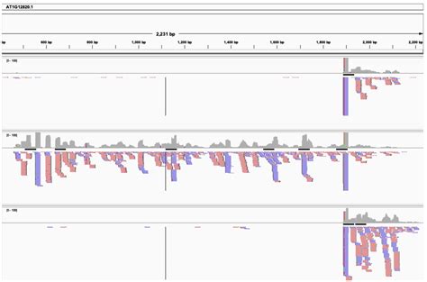 locking y axis with plotbed · issue 10 · phanstiellab sushi · github