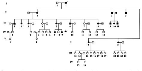 Figure 2 From Multigenerational Inheritance And Clinical Characteristics Of Three Large