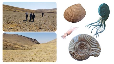 طبیعت‌گردی در مراغه؛ گویدرق گنجینه‌ای از فسیل‌های دوره ژوراسیک ایرنا