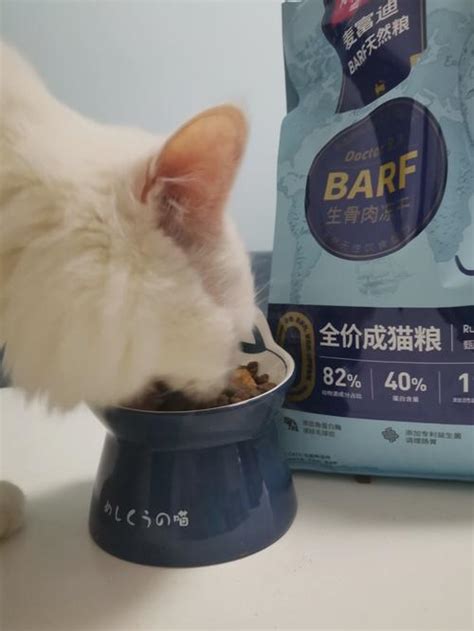 猫喜欢踩奶是什么性格？揭秘猫咪踩奶背后的行为心理 知乎
