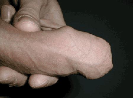 A New Innovation For Anal Penetration Porn Fan Community Forum