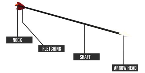 Parts Of An Arrow