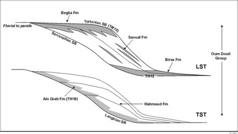 Porosity Depth Plot For The Gulf Of Hammamet Note Depths Mbml Refers Download Scientific