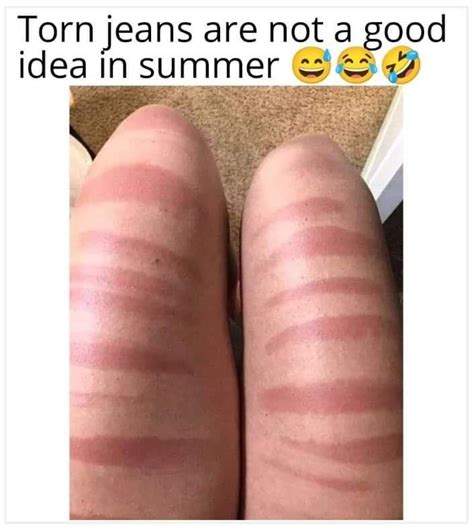 Summer Humor Album On Imgur