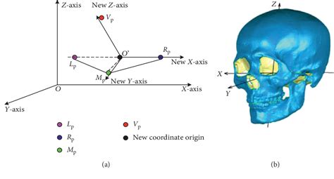 Figure 1 From Sex Determination Of Three Dimensional Skull Based On